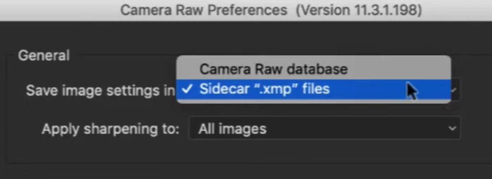 How can I see my edits from Imagen in Adobe software? – Imagen